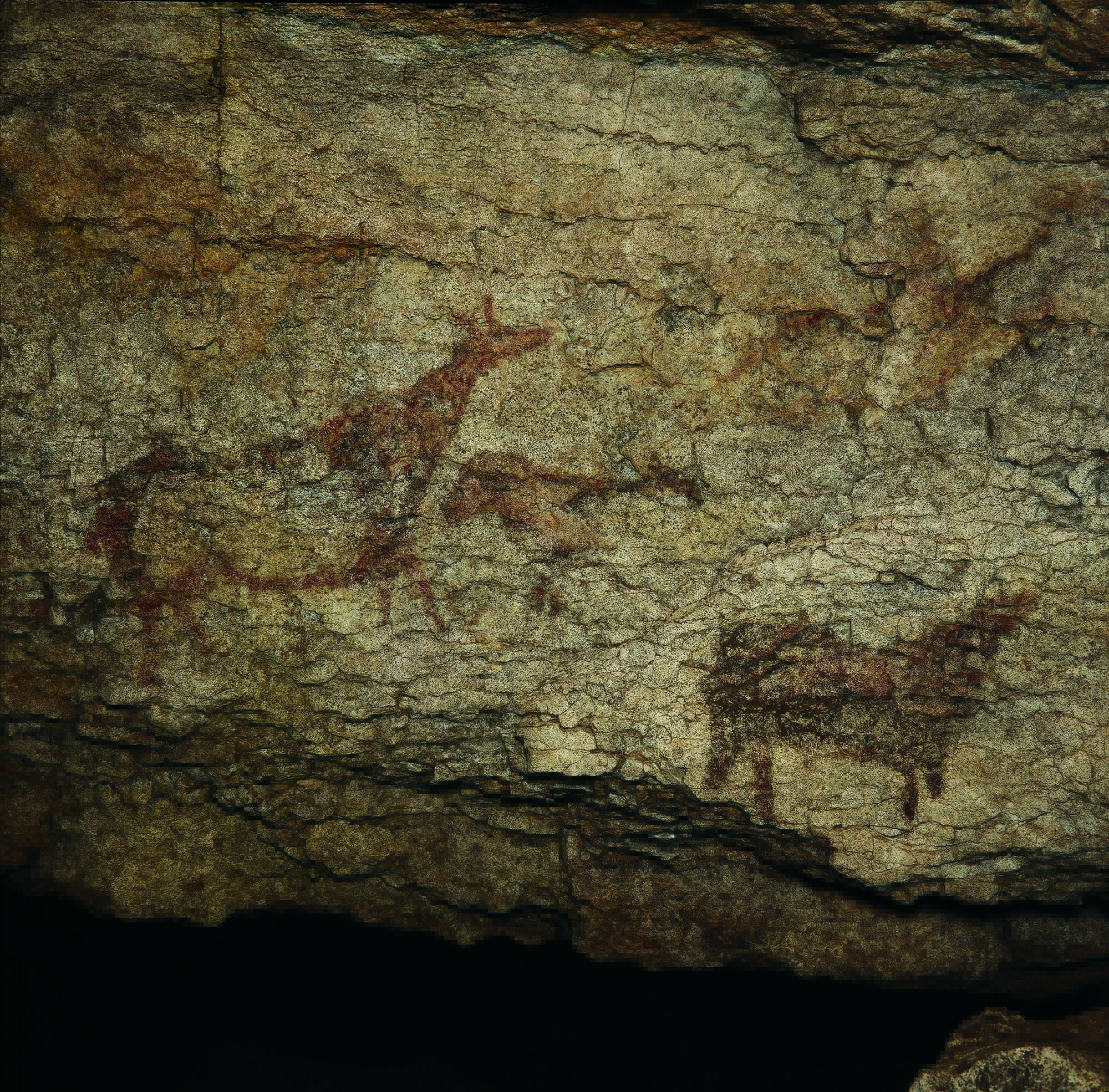 Cueva de El Pendo: Patrimonio Mundial por la UNESCO - Leisure & Pleasure